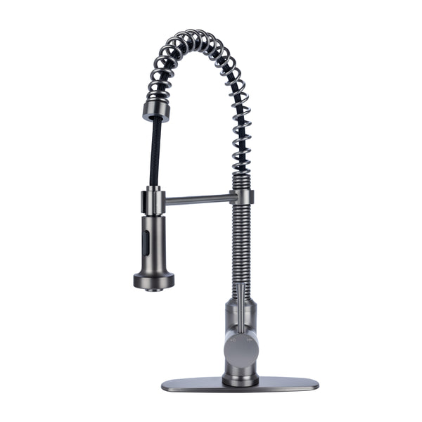 Fontaine by Italia Residential Spring Coil Pull Down Kitchen Faucet wi ...